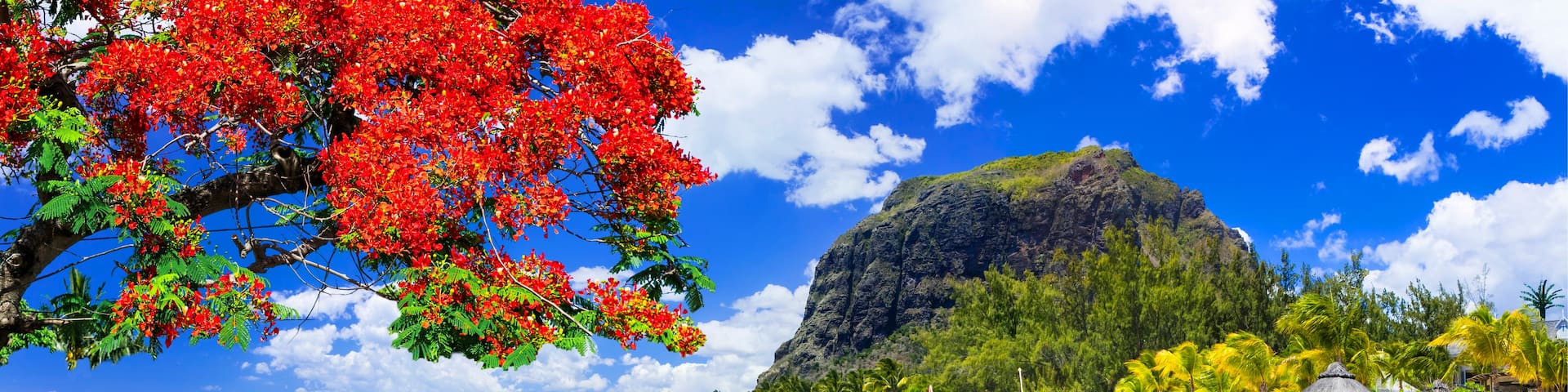 Distrito de Black River, Ilhas Maurício