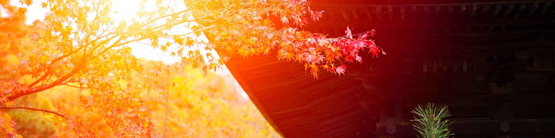 Yamagata, Japão