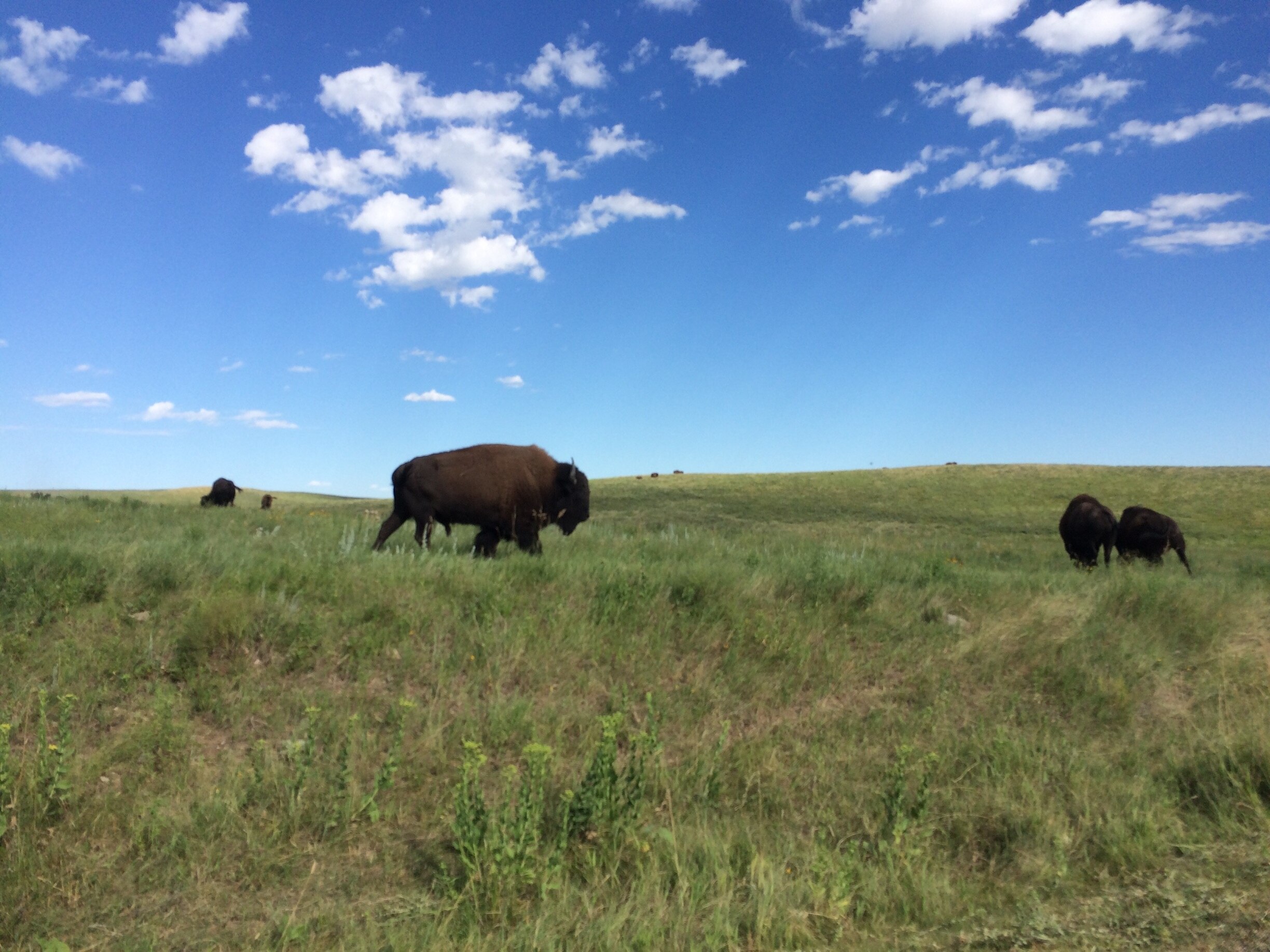 Visit Fairburn: 2024 Travel Guide for Fairburn, South Dakota | Expedia