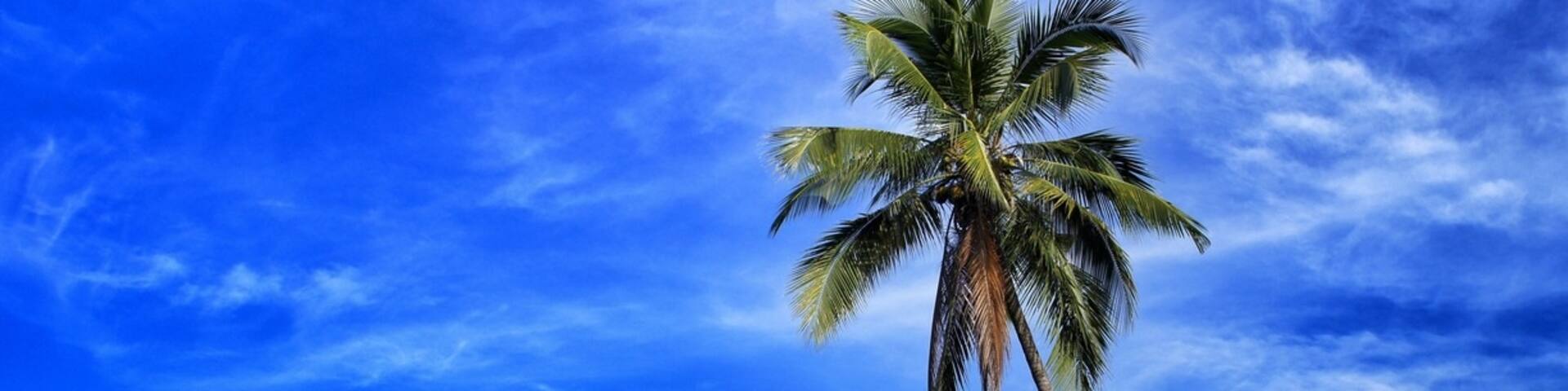 Tangkoko Nature Reserve, Celebes Setentrional, Indonésia