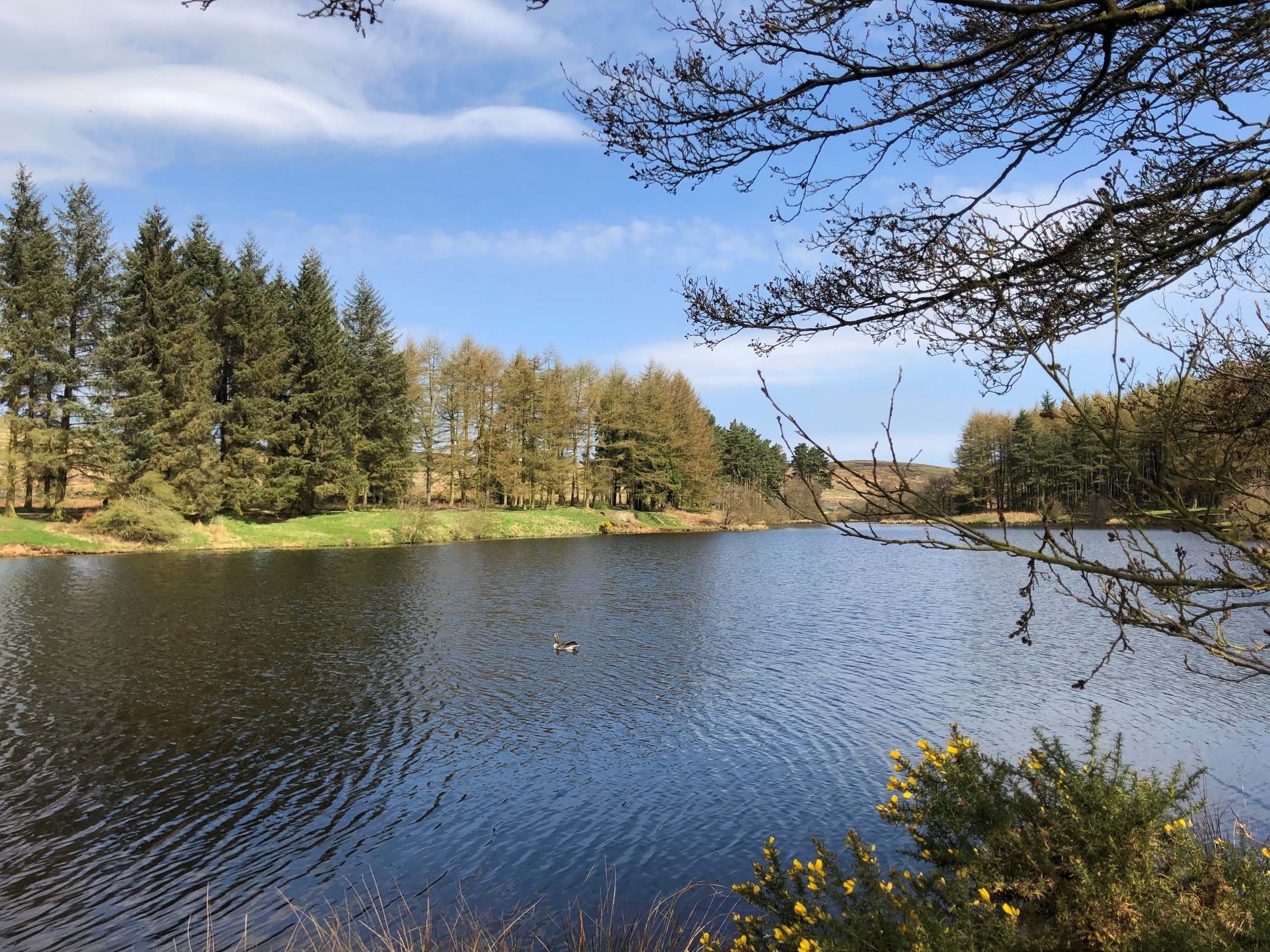 Cod Beck Reservoir in Northallerton | Expedia.co.uk