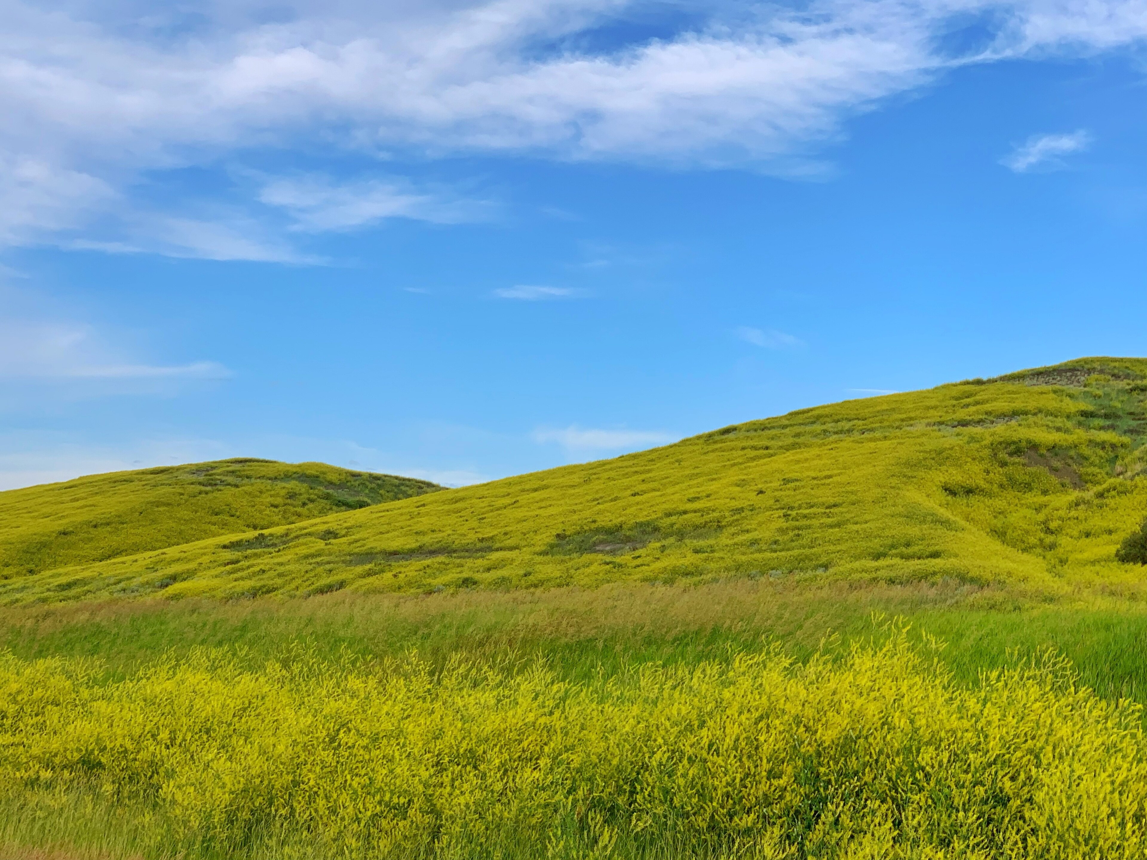 Besök Caputa: det bästa med Caputa – resa i South Dakota 2023 | Turism ...