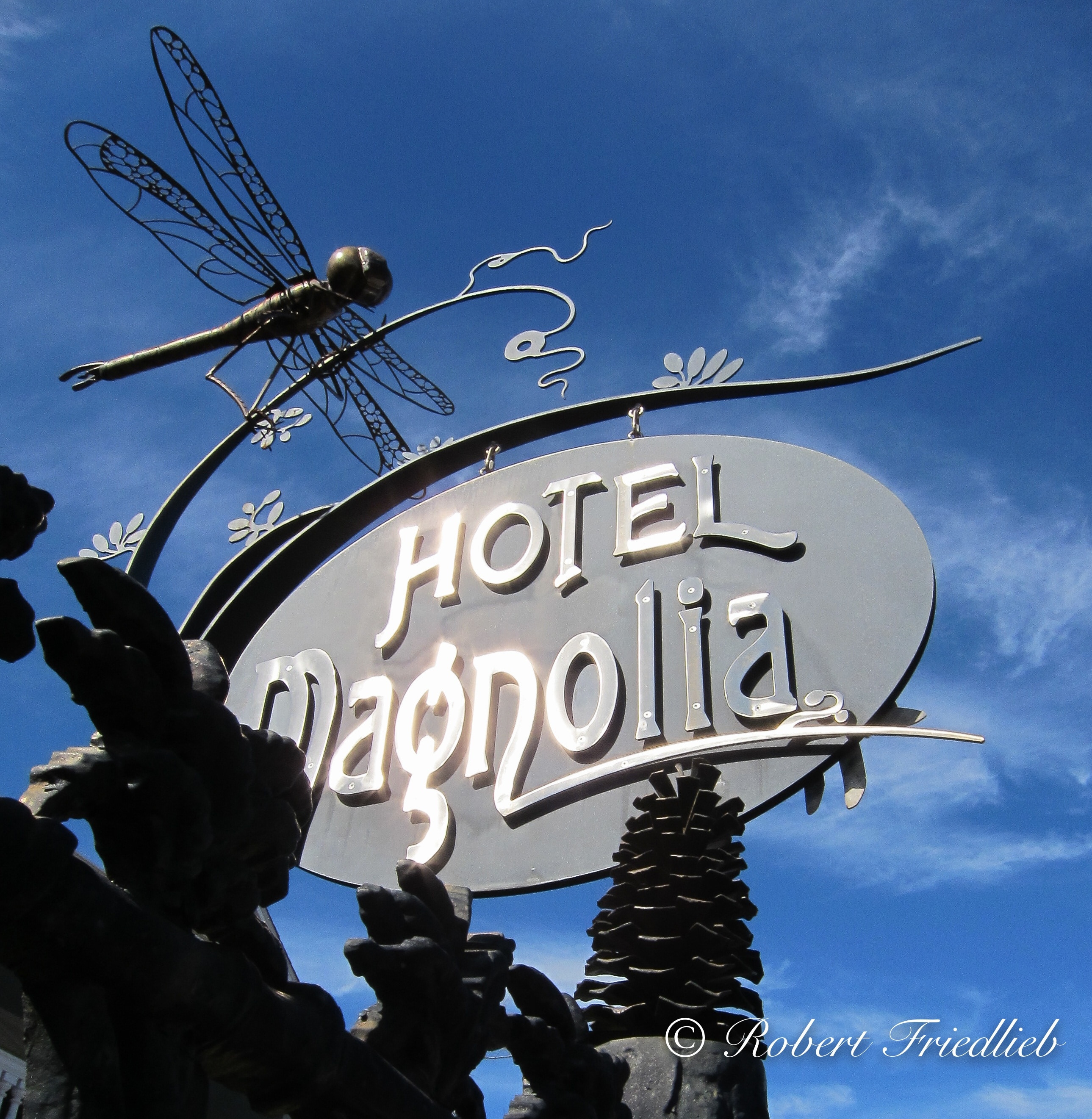 10 Fun Things to Do in Foley November 2023 | Expedia