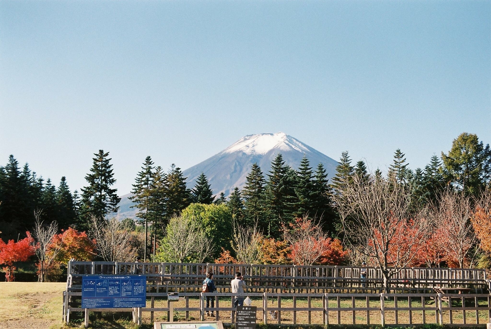 Visit Setagaya: 2021 Setagaya, Tokyo Travel Guide | Expedia