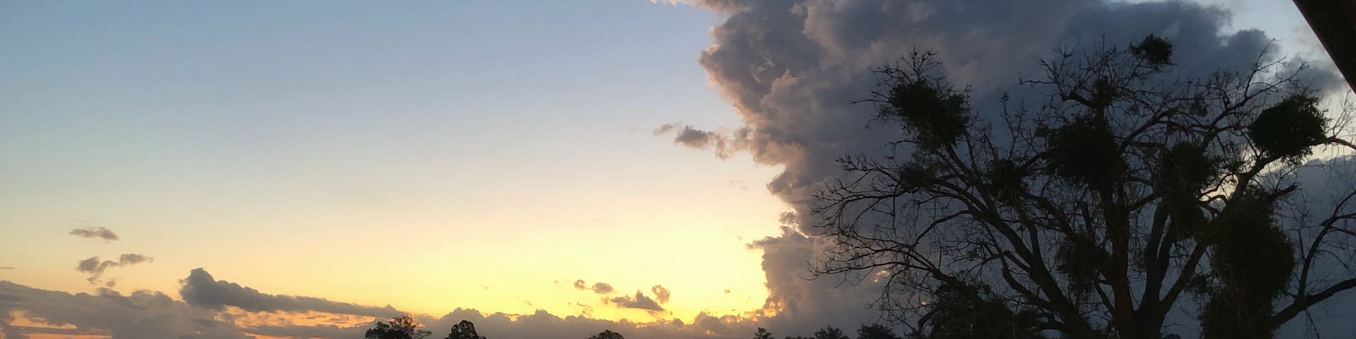 Grafton, Nova Gales do Sul, Austrália