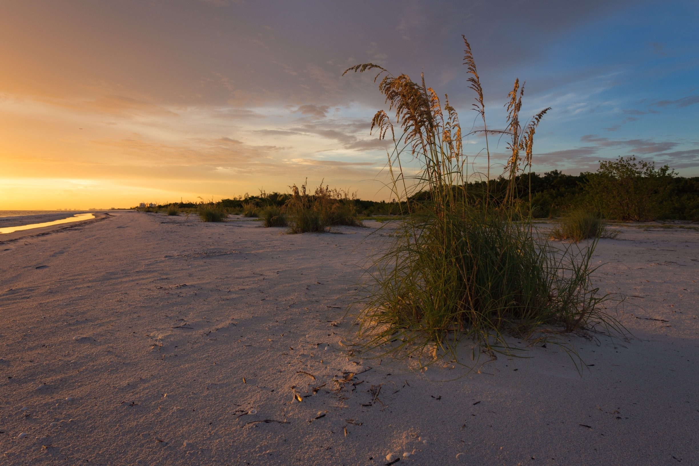 Visit Lovers Key State Park: Best of Lovers Key State Park Tourism ...
