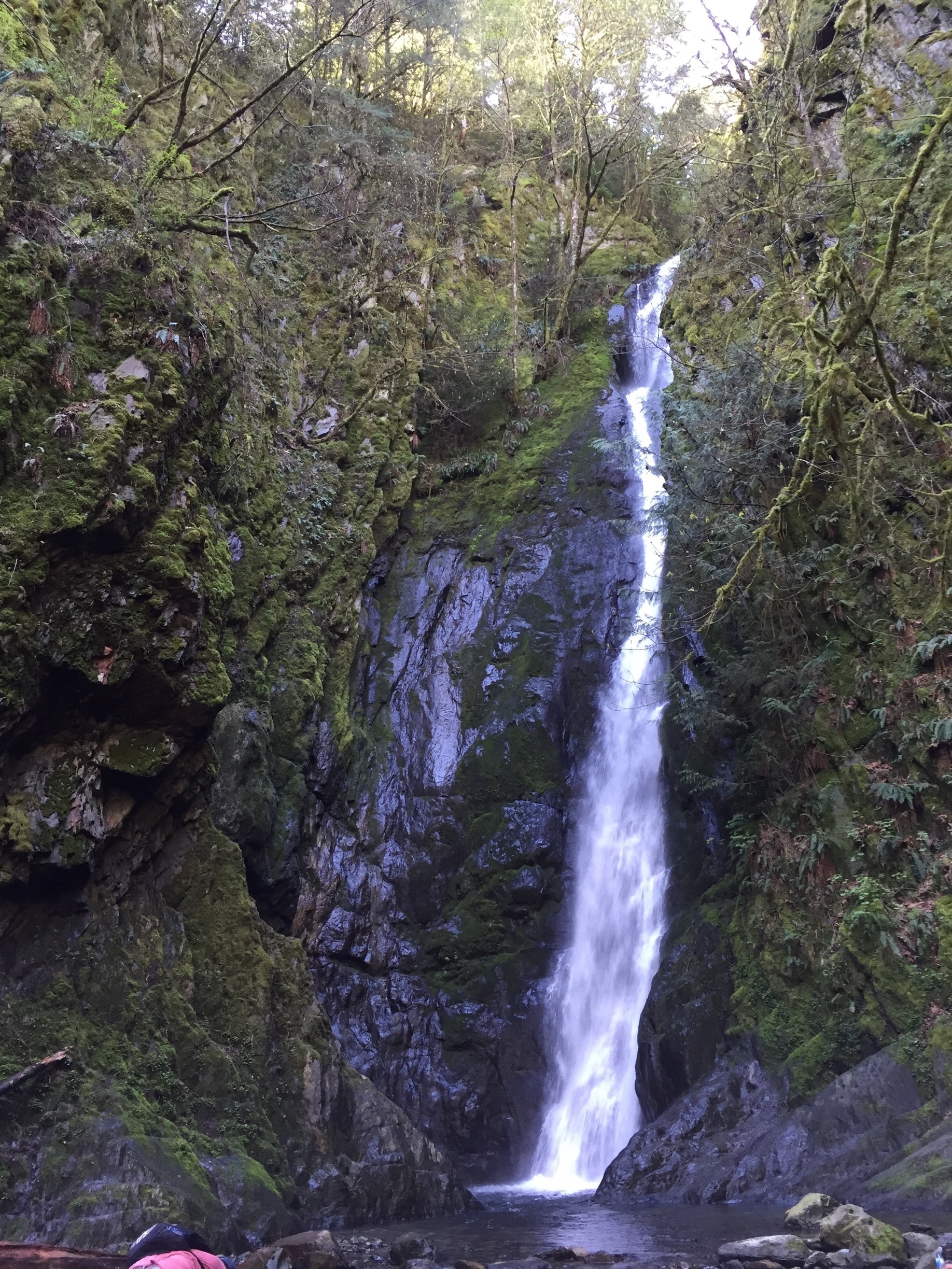 Goldstream Provincial Park : Découvrez Victoria avec Expedia.fr