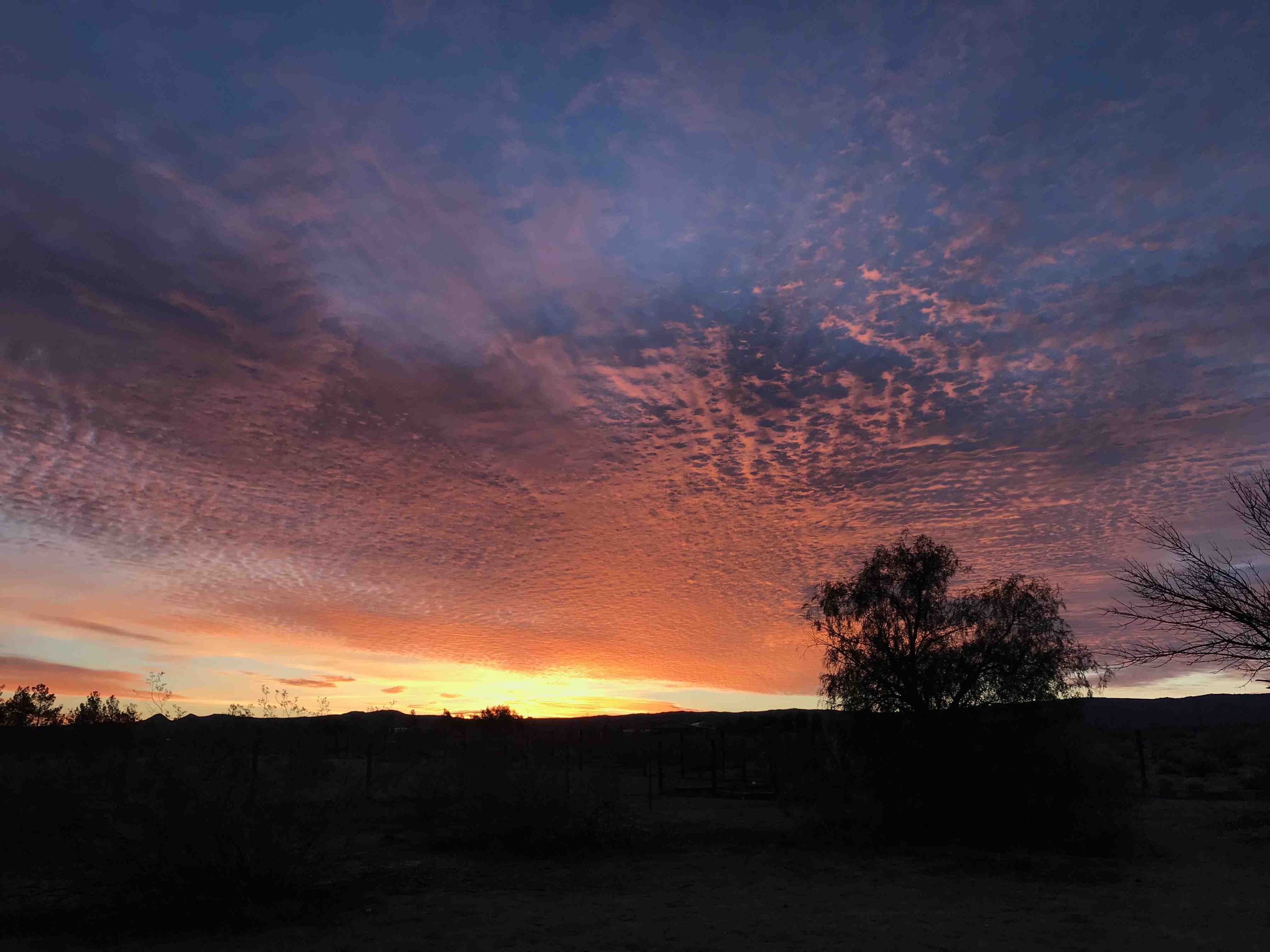 Visit Ridgecrest: Best of Ridgecrest Tourism | Expedia Travel Guide