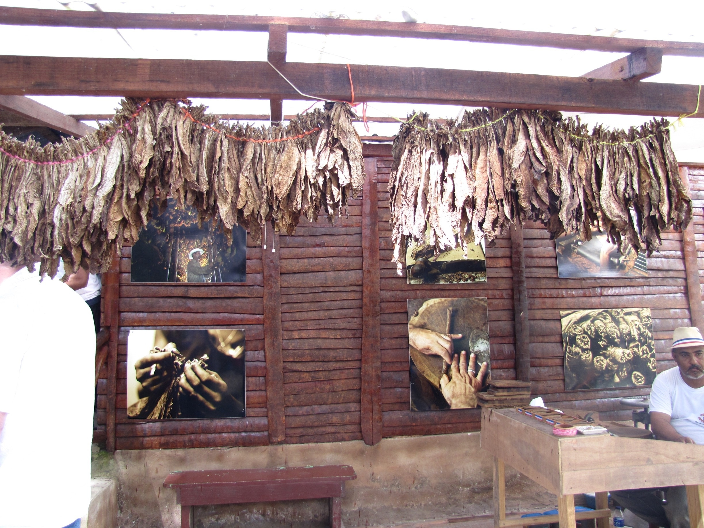 Visit Higuey: 2022 Travel Guide for Higuey, La Altagracia | Expedia