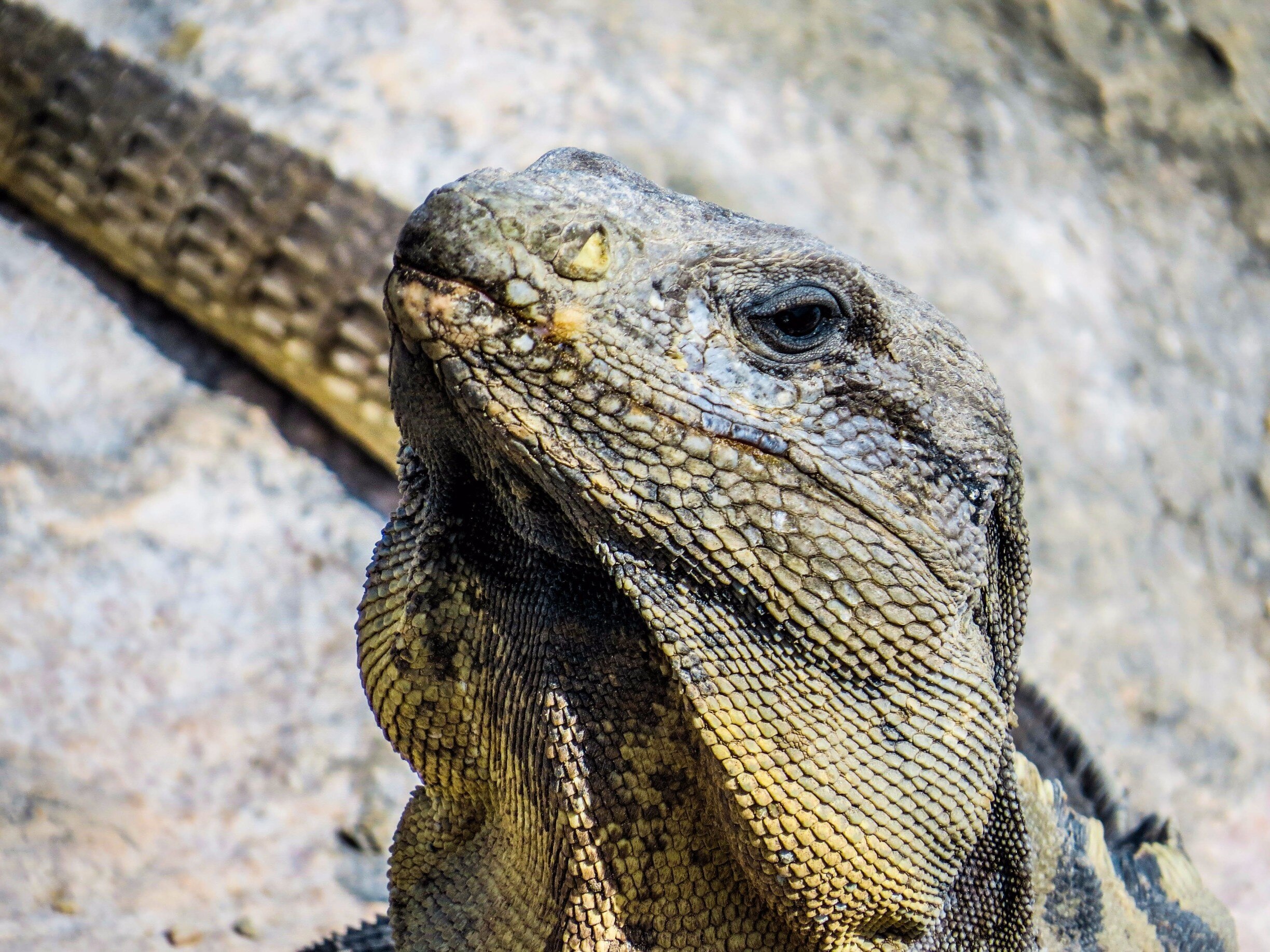 Salinas, Isla Mujeres holiday rentals: houses & more | Vrbo