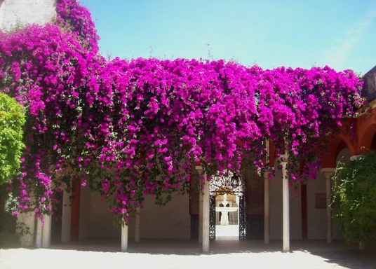 Sevilha, Espanha