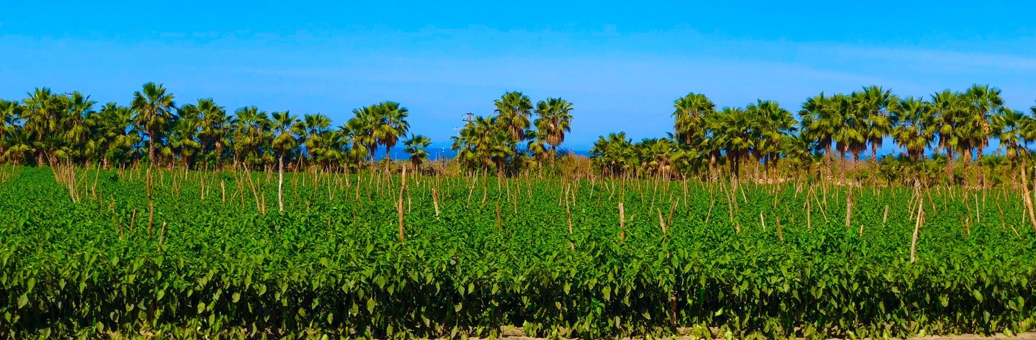 El Pescadero, México