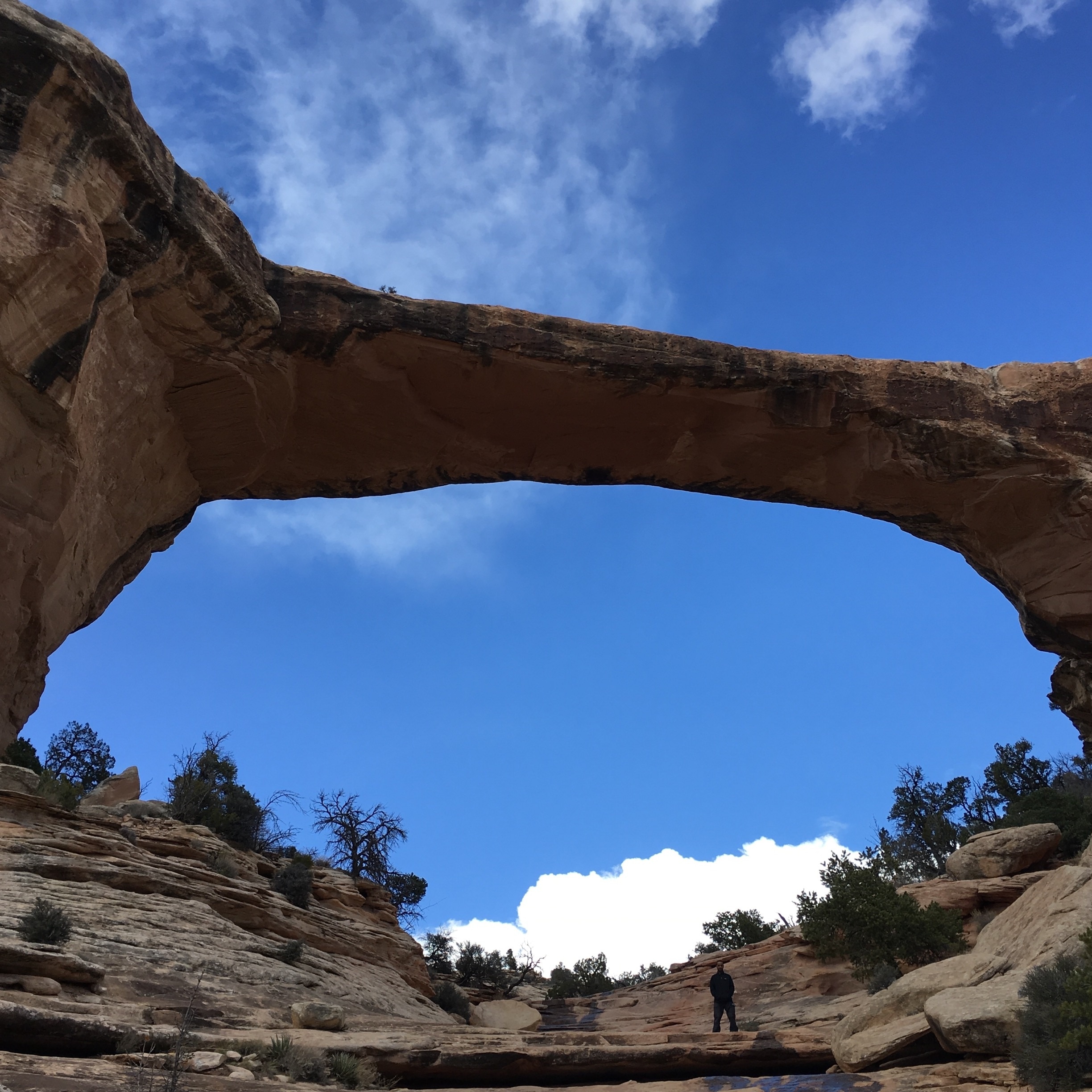Natural Bridges National Monument