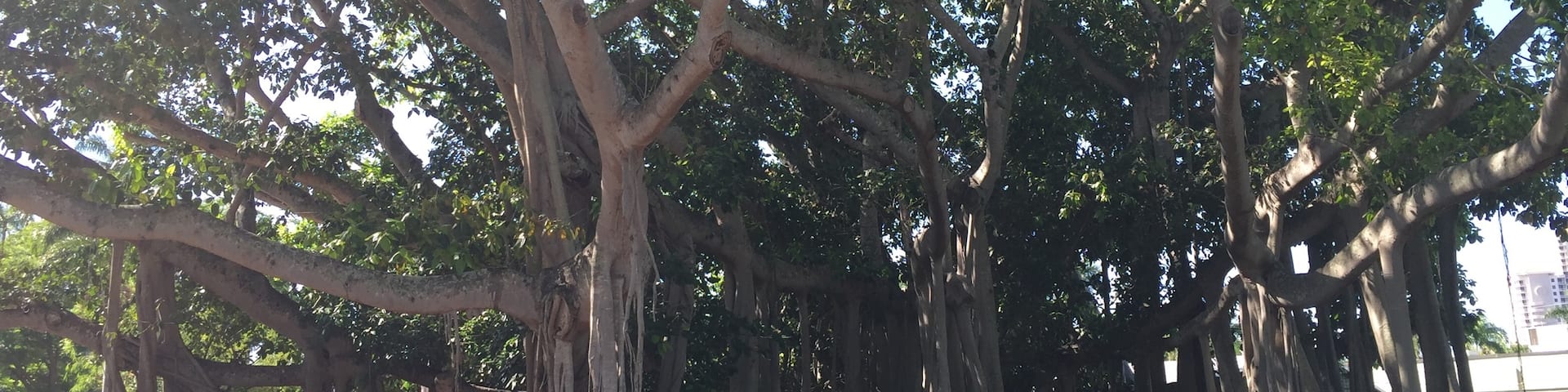 Top Hotels in Edison Park Historic District, Fort Myers from $85 ... Top Hotels in Edison Park Historic District, Fort Myers from $85 ...