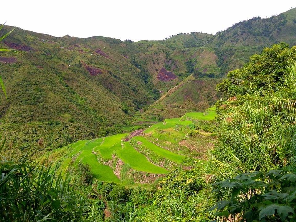 Visit Bontoc: 2021 Travel Guide for Bontoc, Cordillera Administrative ...