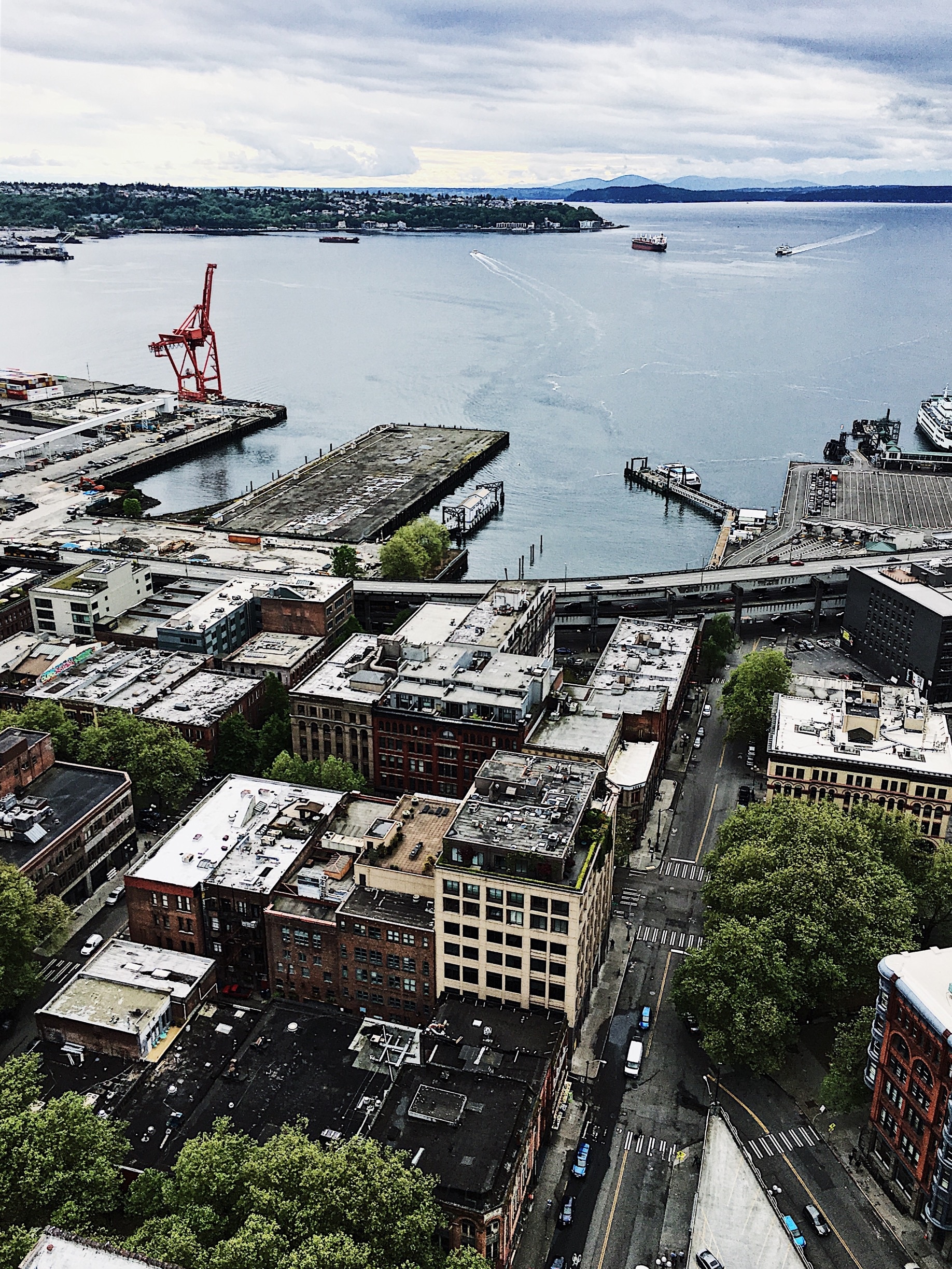 Smith Tower in Downtown Seattle - Tours and Activities | Expedia