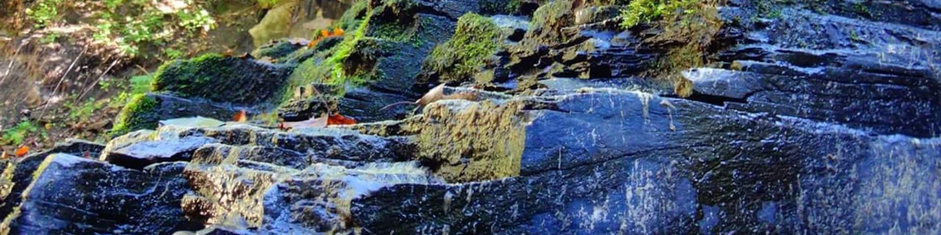 Town of Root, Nova Iorque, Estados Unidos