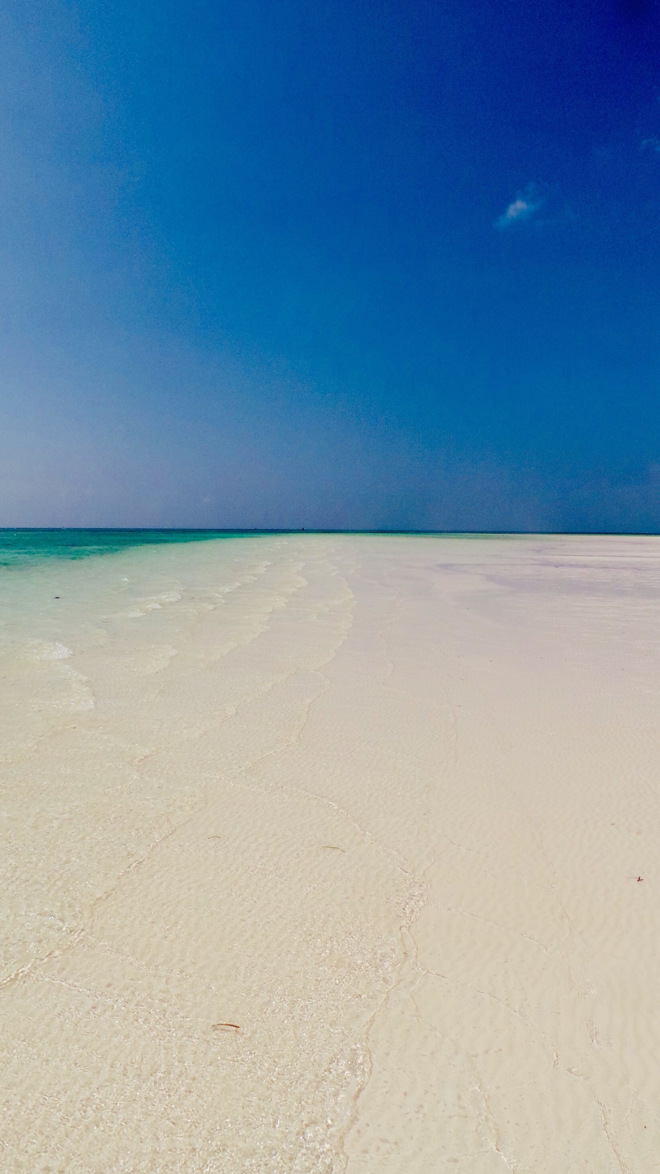 Travel Malindi: Best of Malindi, Visit Kilifi County | Expedia Tourism