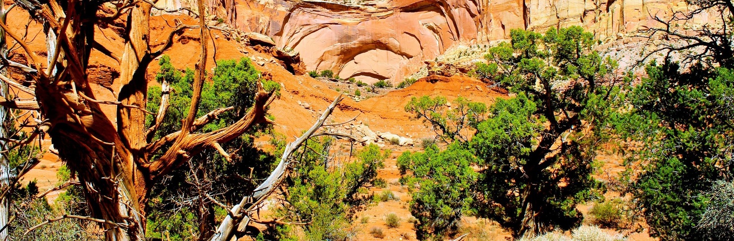 Torrey, Utah, Estados Unidos