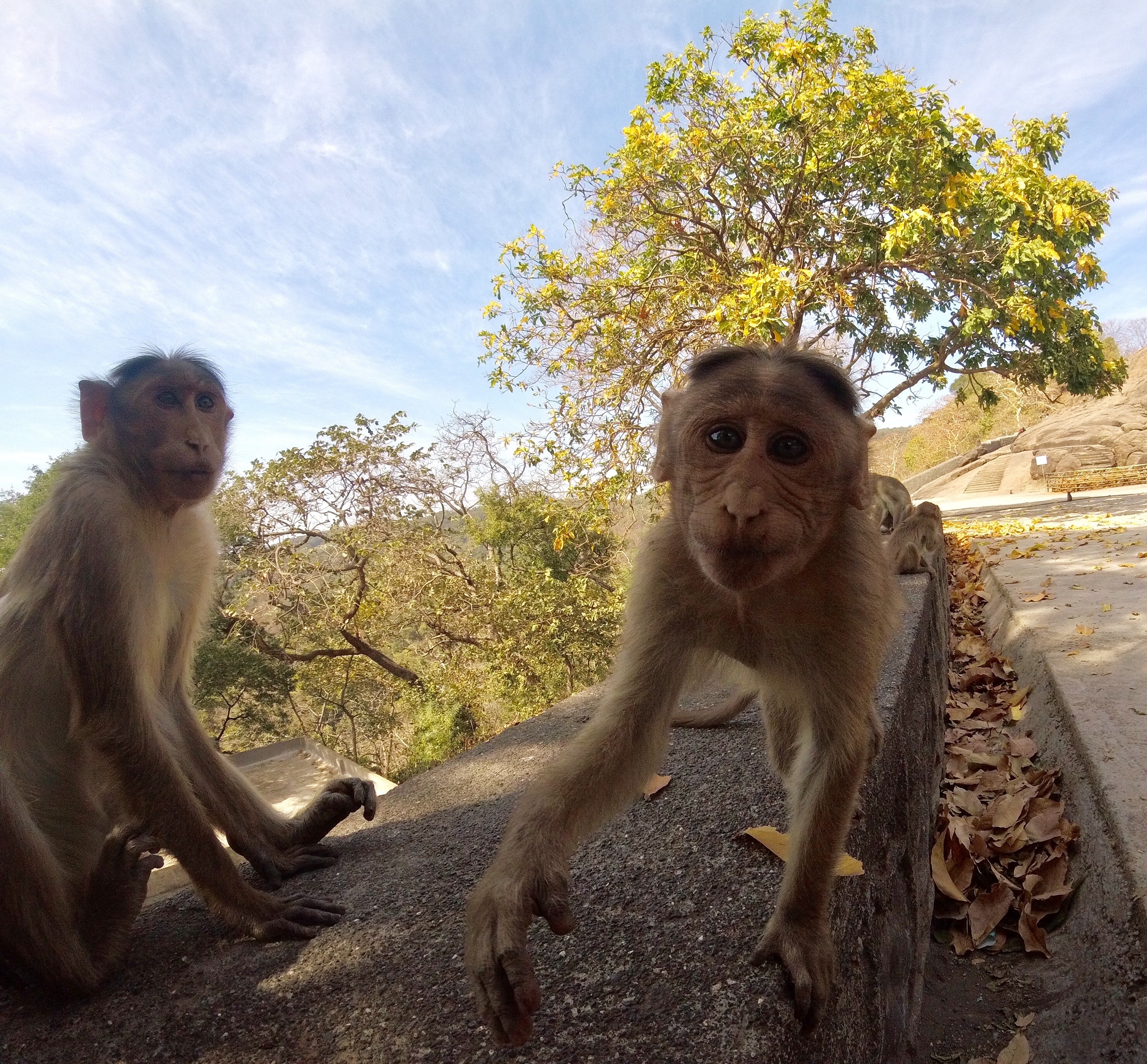 bc126fc3531a5efe59235d4f7e2eec60.jpg?impolicy=fcrop&w=1920&h=480&q=medium