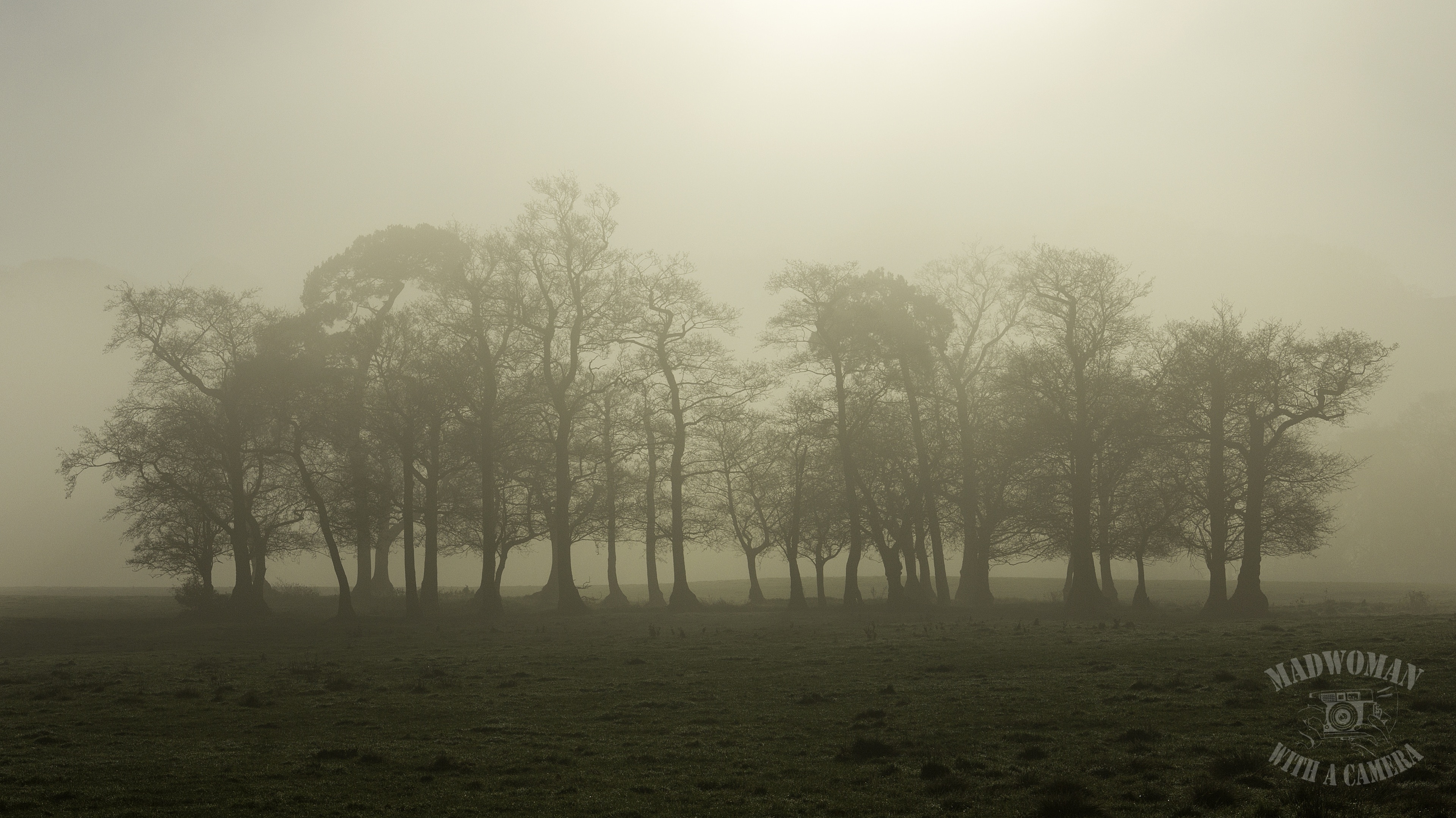 10 Fun Things to Do in Leek June 2022 | Expedia