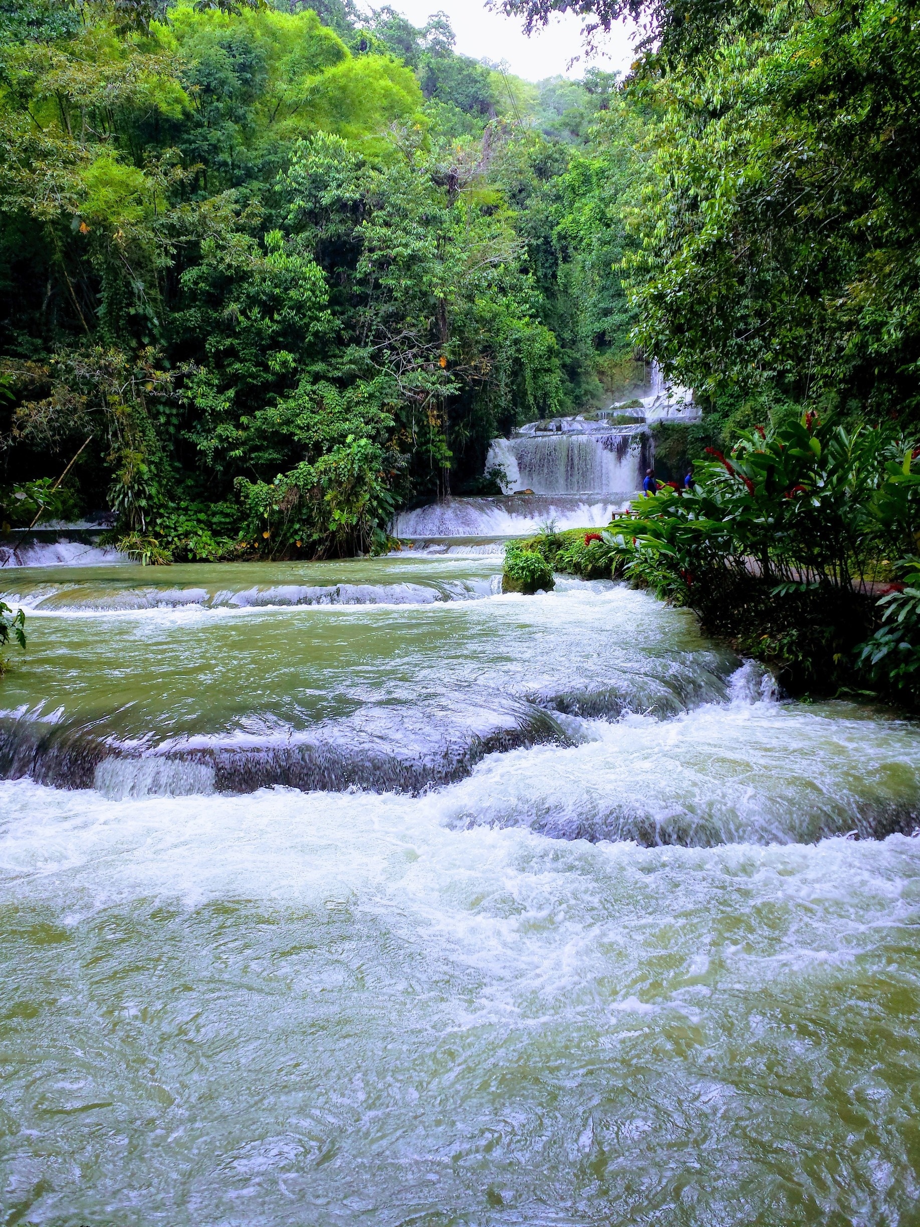 Ys Falls Jamaica