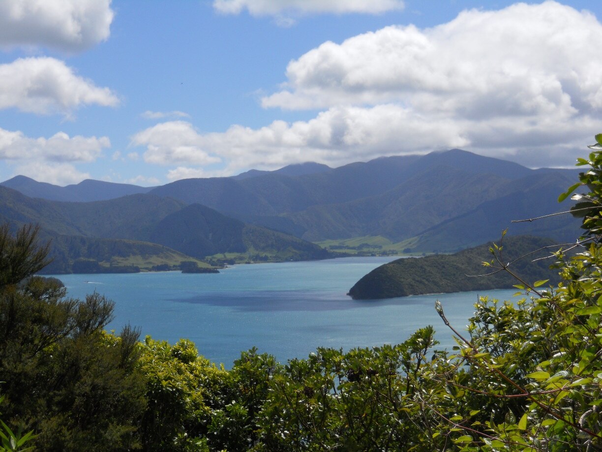 Top 20 Picton beach holiday homes from NZ$ 100/night | Bookabach