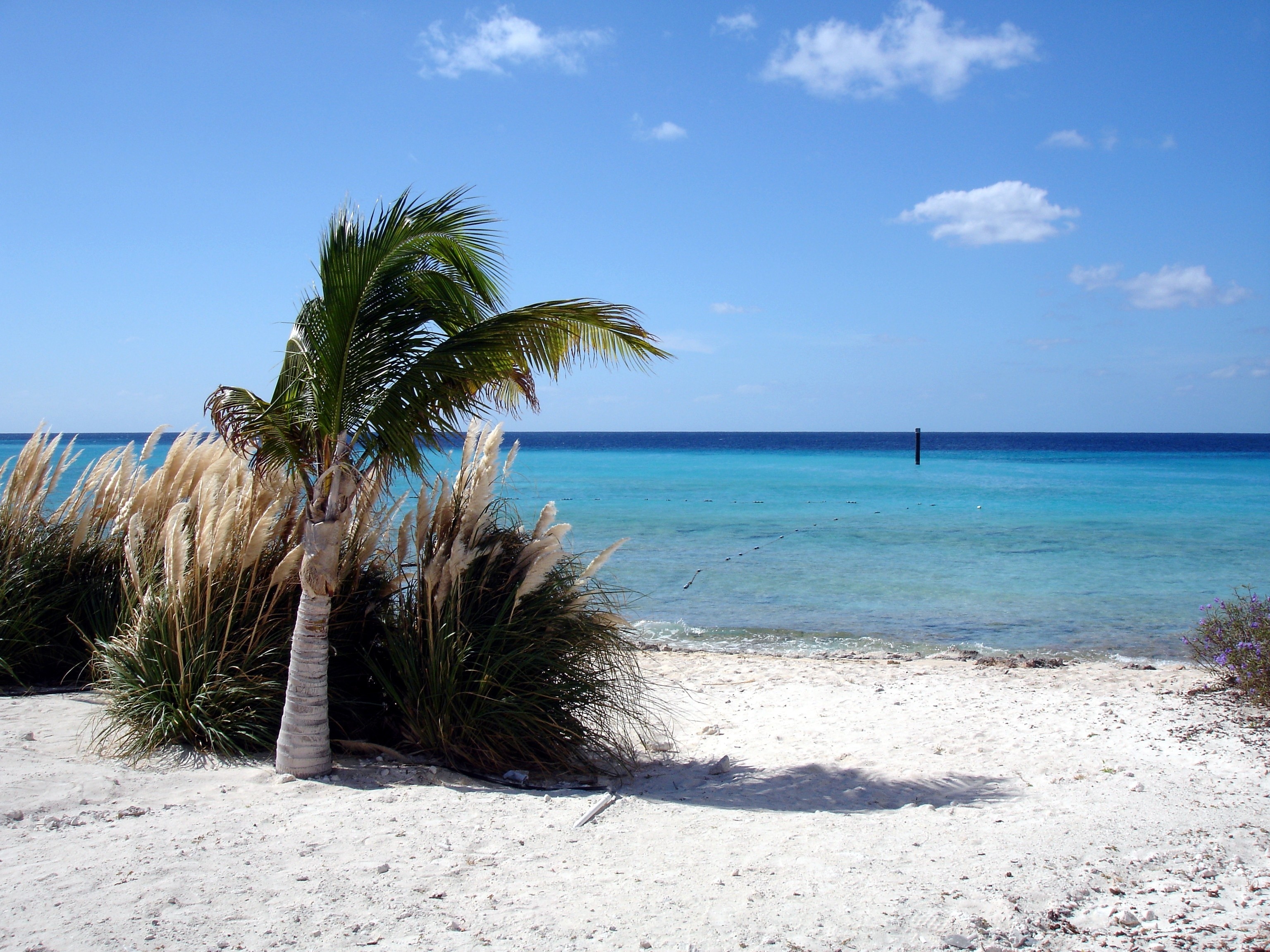 Visit Grand Turk: 2021 Travel Guide for Grand Turk, Turks and Caicos ...
