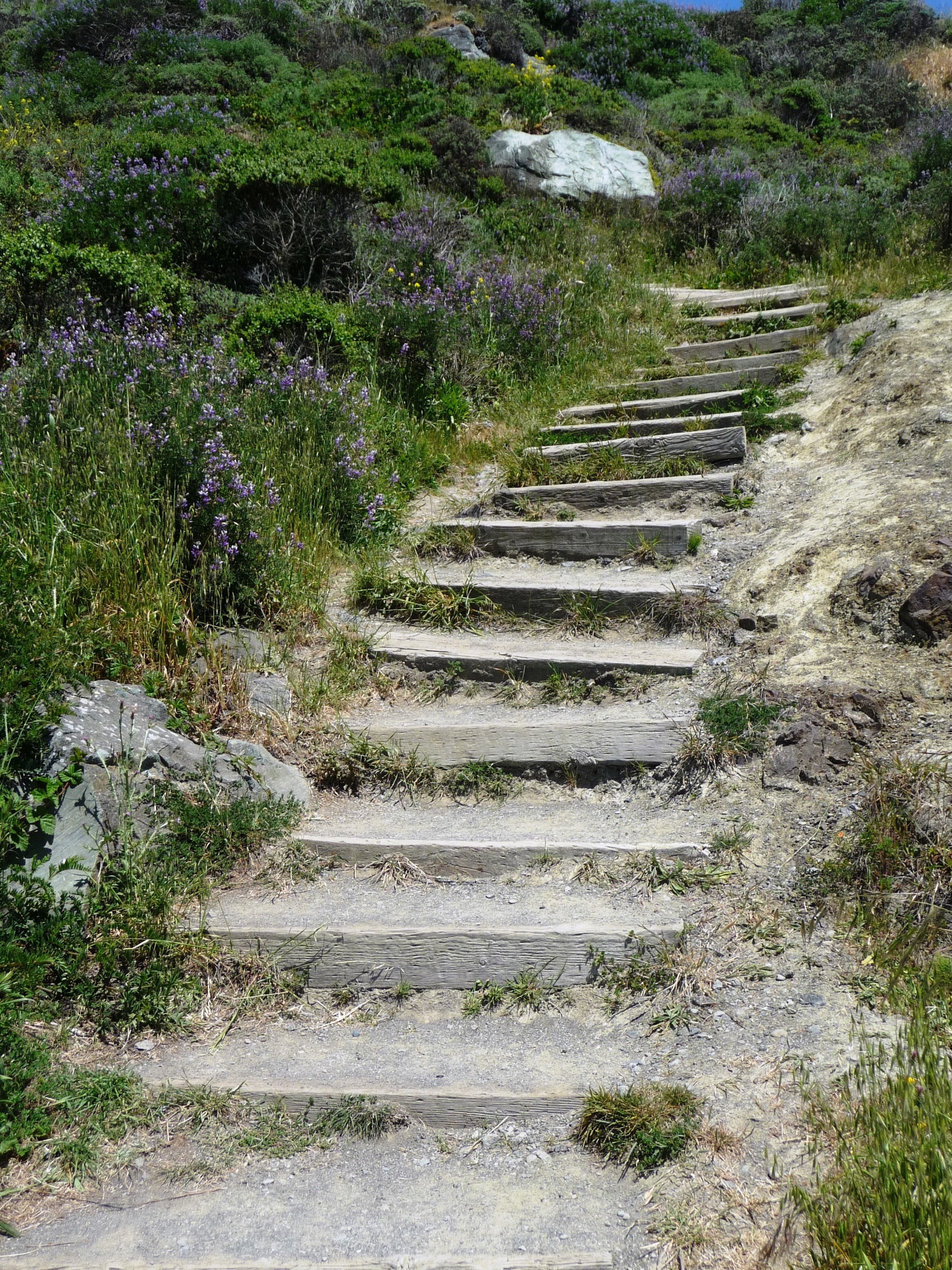 Visit Lotus: Best of Lotus, California Travel 2023 | Expedia Tourism