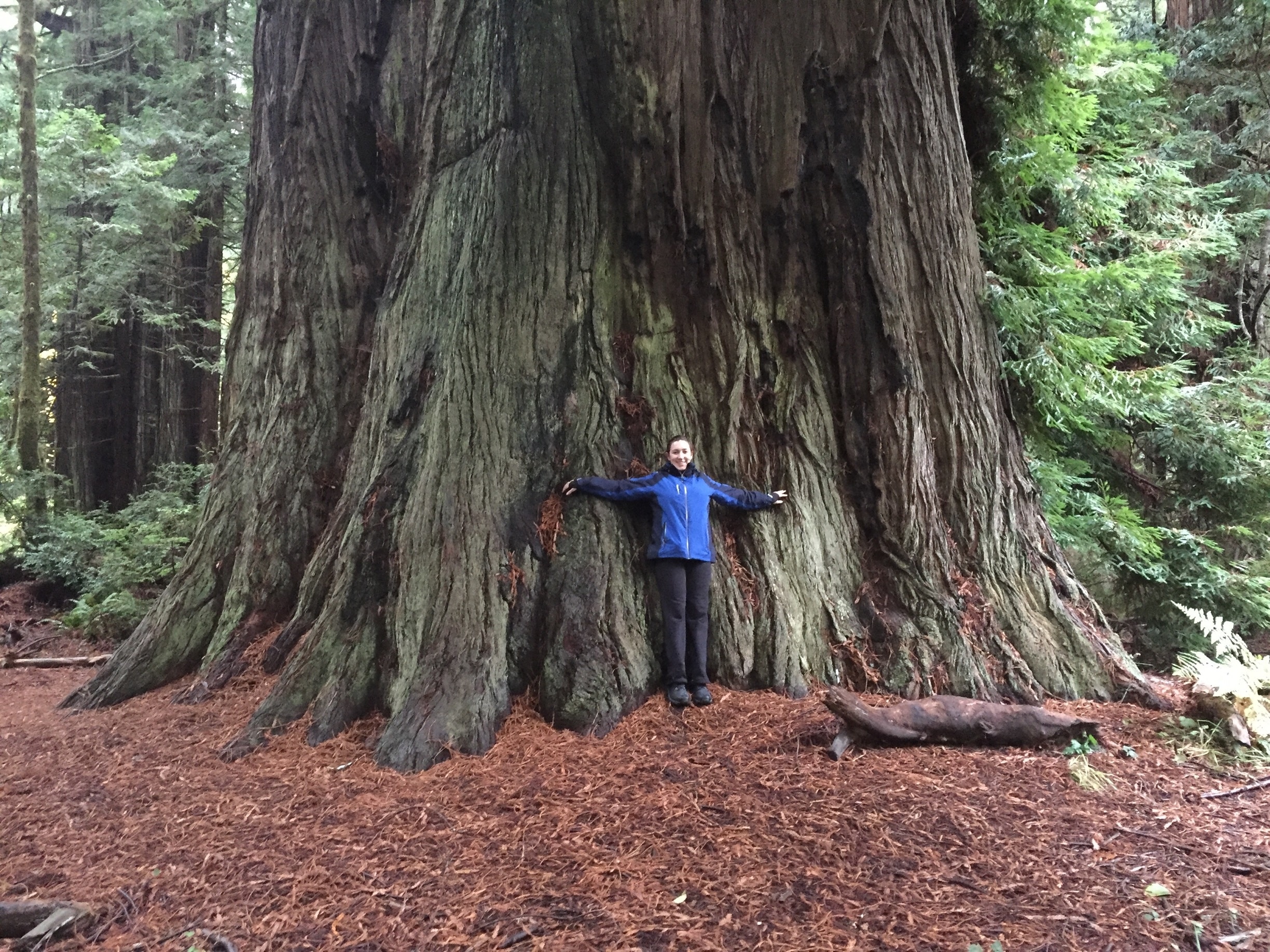 Visit Hoopa: Best of Hoopa, California Travel 2023 | Expedia Tourism