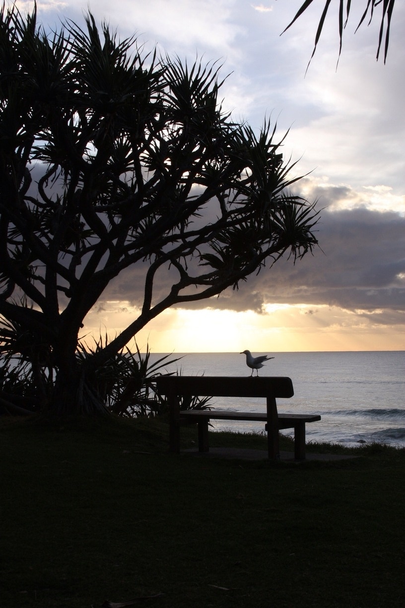Visit Corindi Beach: 2024 Corindi Beach, Coffs Harbour Travel Guide ...
