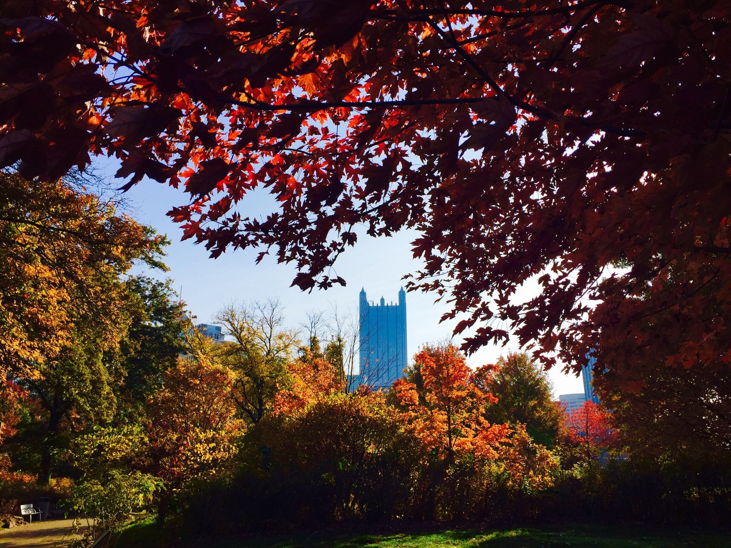 Hoteles para no fumadores cerca de Point State Park en Centro de ...