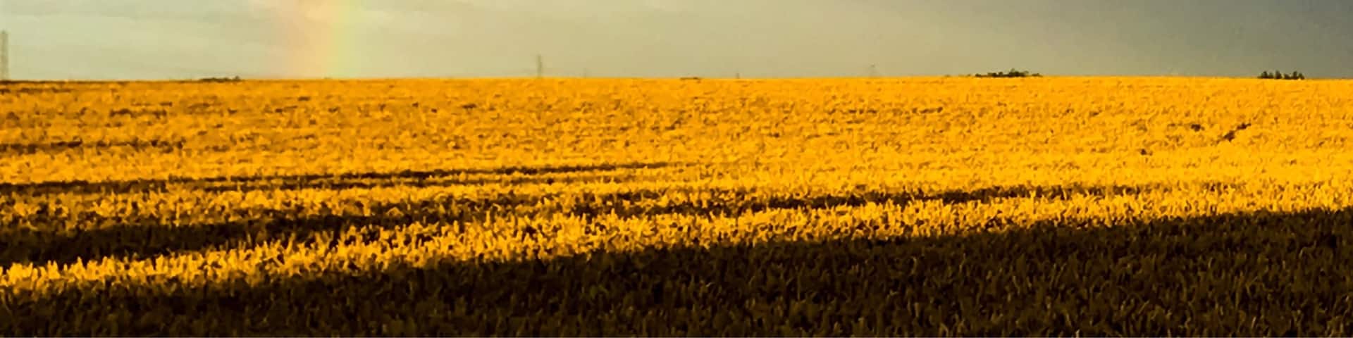 Stocksfield, Inglaterra, Reino Unido