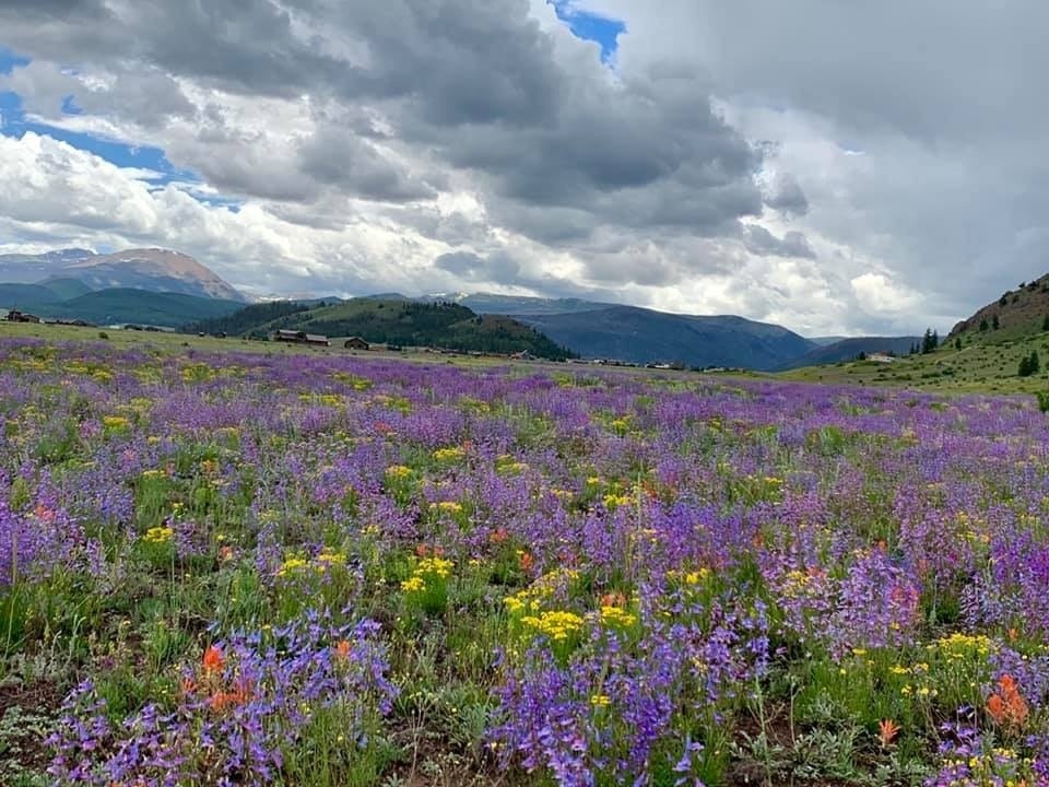 Visit Rio Grande National Forest in Colorado | Expedia