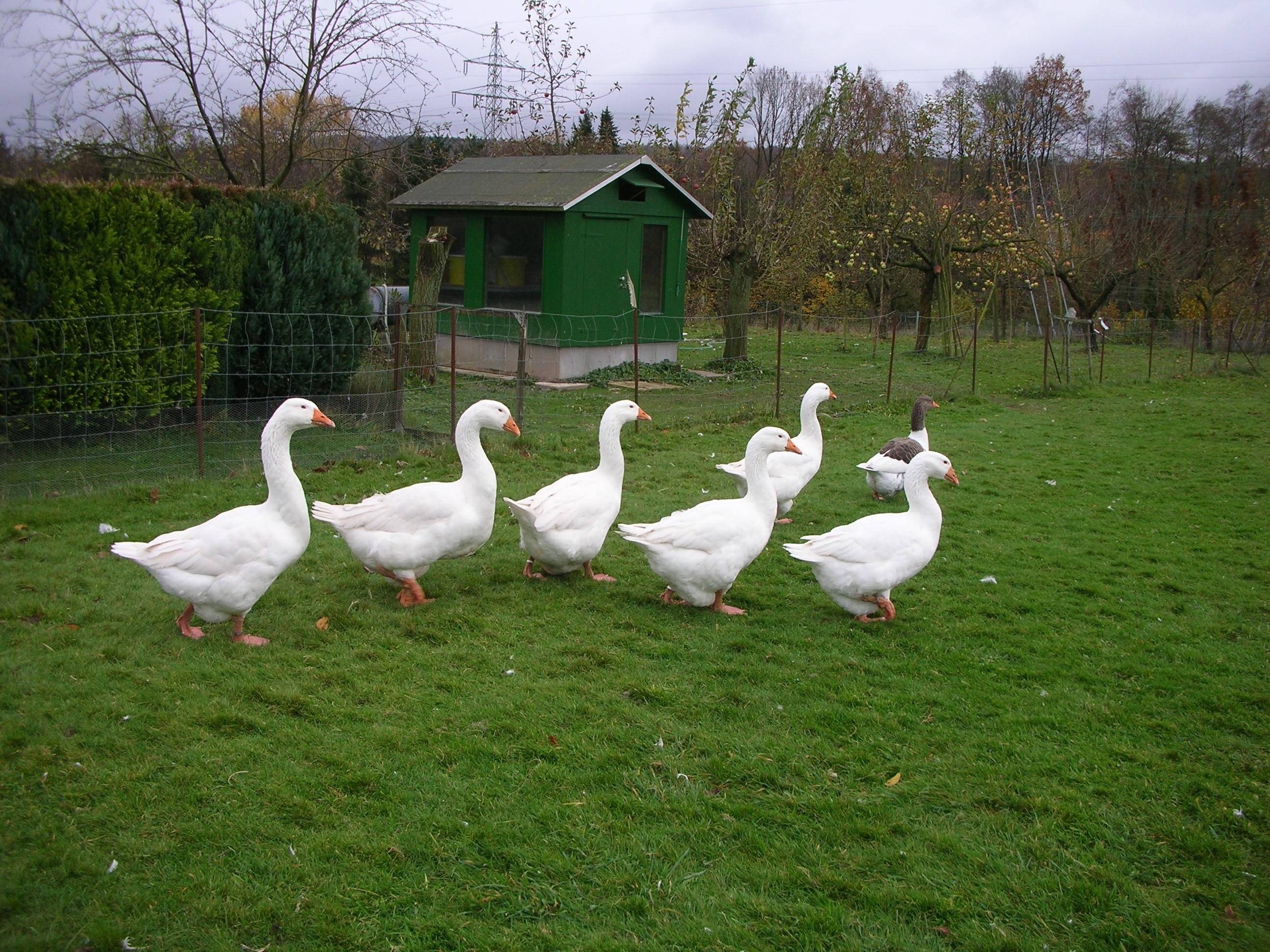 Visit Doerentrup 2024 Travel Guide For Doerentrup North Rhine 