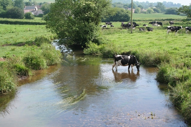 Upottery holiday accommodation from AU$ 110/night | Stayz