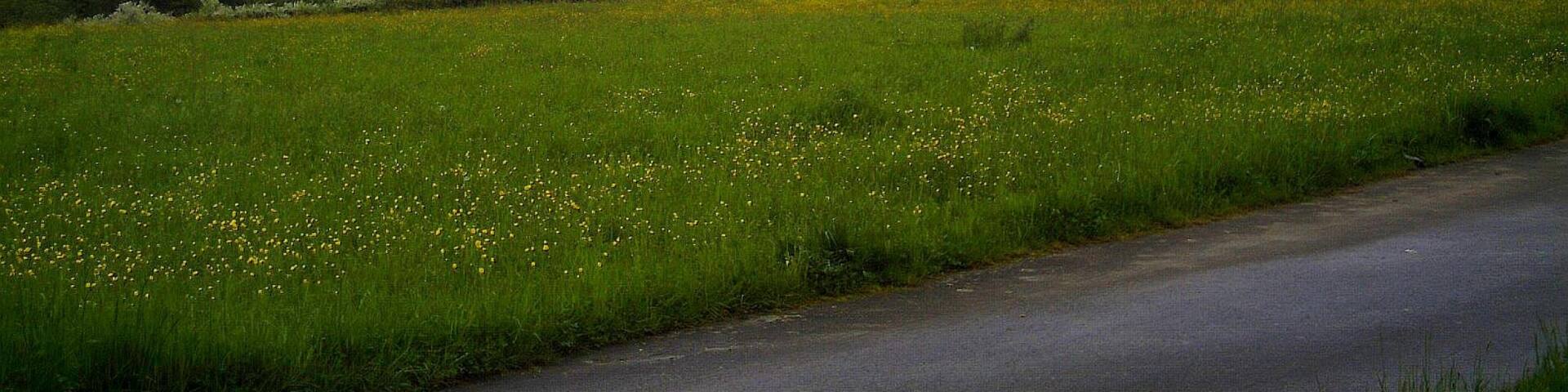 Bollschweil, Baden-Württemberg, Alemanha