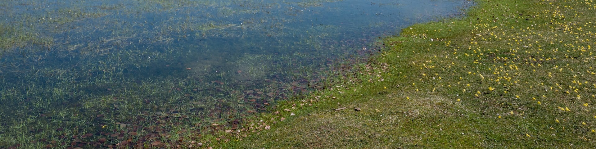 Parzonería General de Encía, País Basco, Espanha