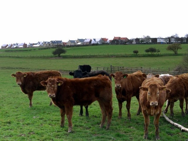 Visit Longhoughton: Best of Longhoughton Tourism | Expedia Travel Guide