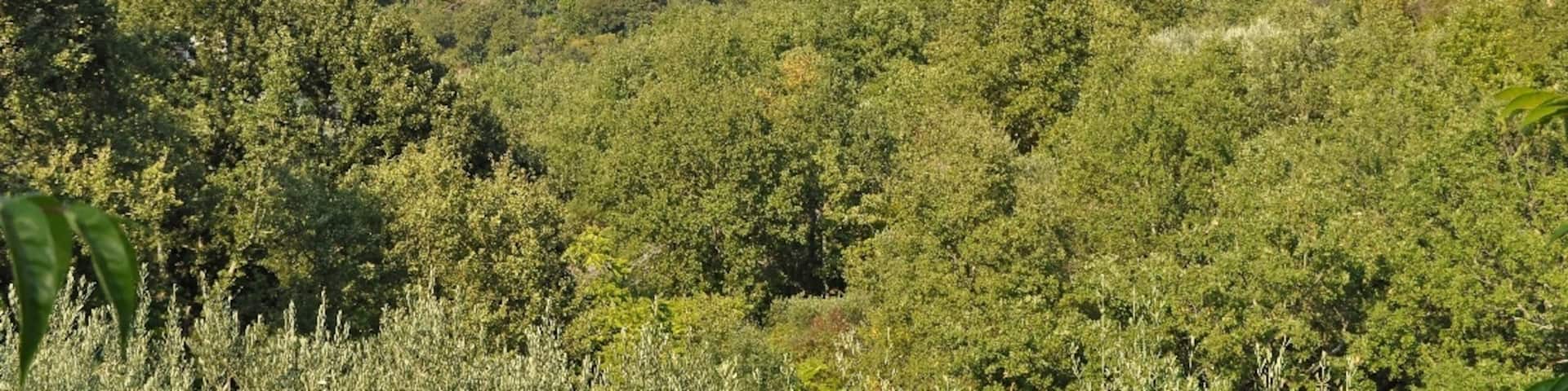 Pico, Lácio, Itália