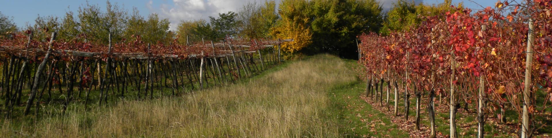 Sezana, Eslovénia