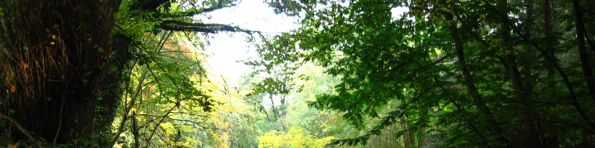 Bergheim, Renânia do Norte-Vestfália, Alemanha