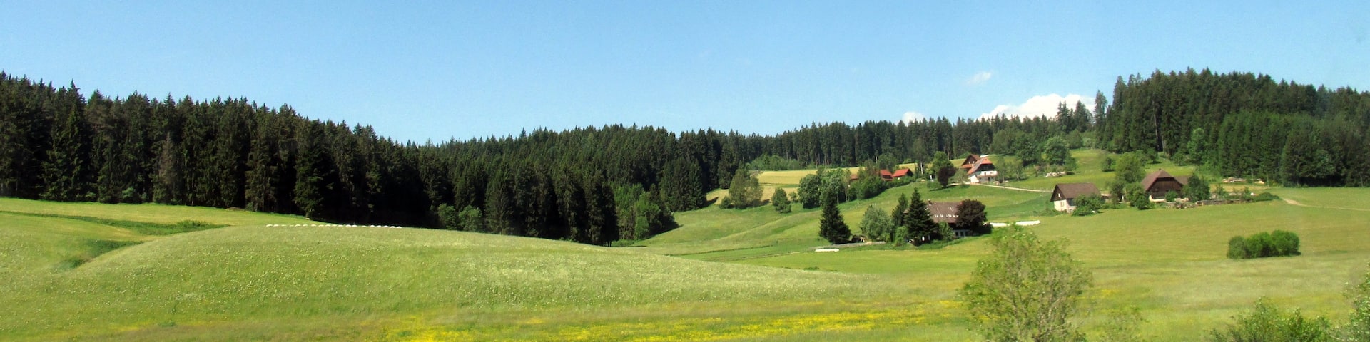 Sankt Georgen im Schwarzwald, Baden-Württemberg, Alemanha