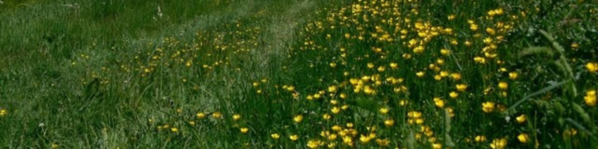 Thorpe Satchville, Melton Mowbray, Inglaterra, Reino Unido