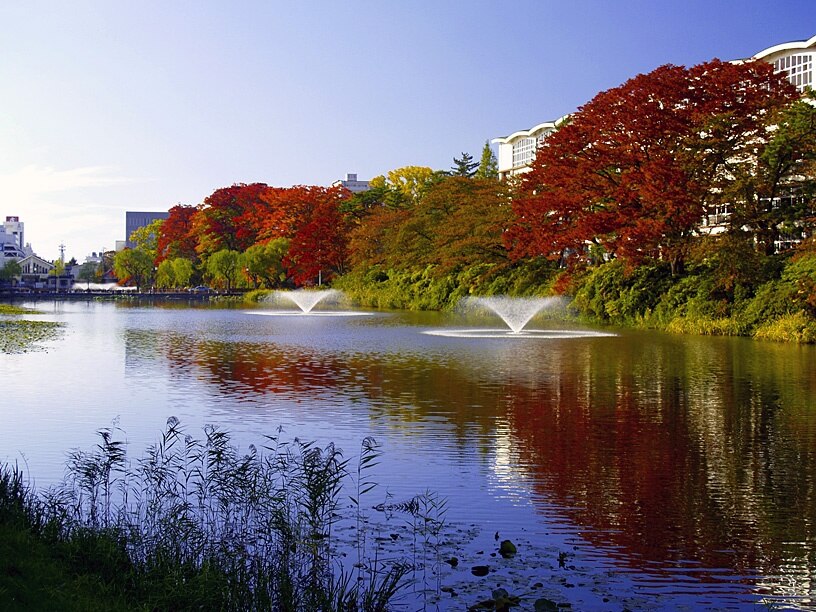 Visit Akita: 2023 Travel Guide for Akita, Akita Prefecture | Expedia