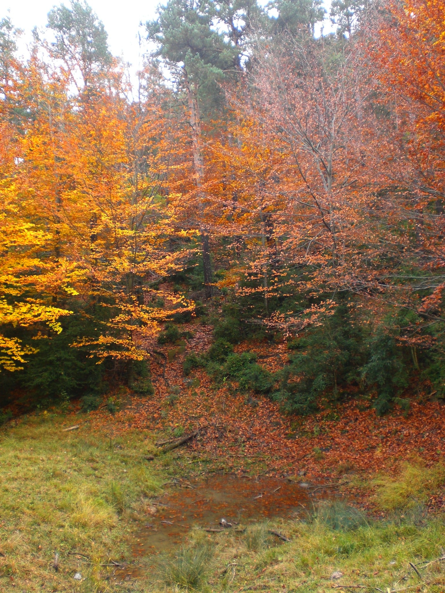 Visit Guardiola de Bergueda: 2023 Travel Guide for Guardiola de ...