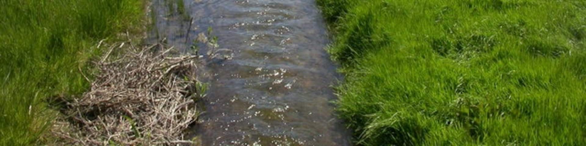 Winkton, Christchurch, Inglaterra, Reino Unido