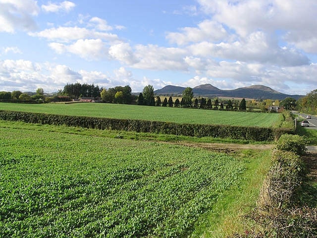 10 TOP Things to Do in Melrose December 2023 | Expedia