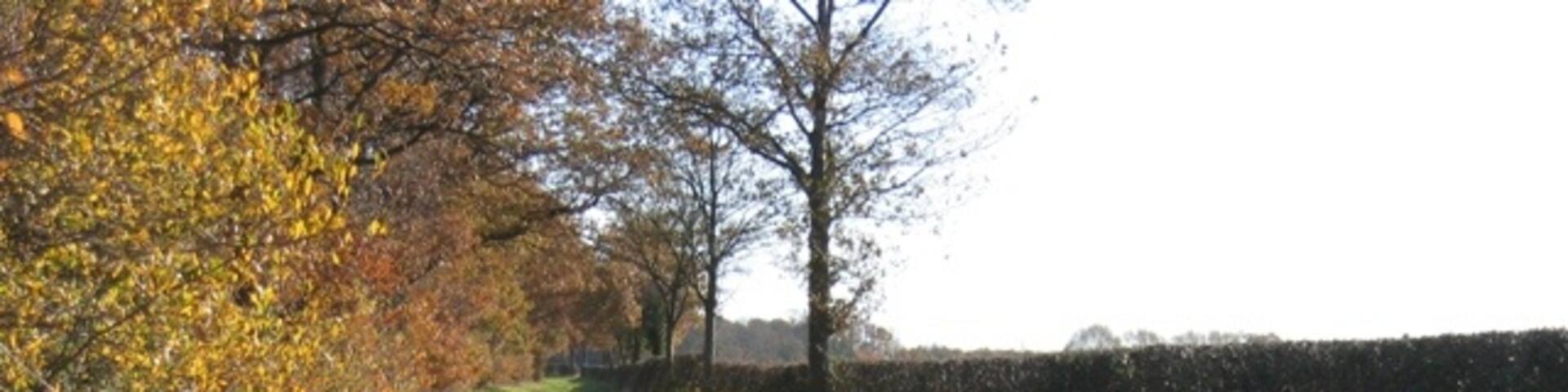 Dodleston, Chester, Inglaterra, Reino Unido