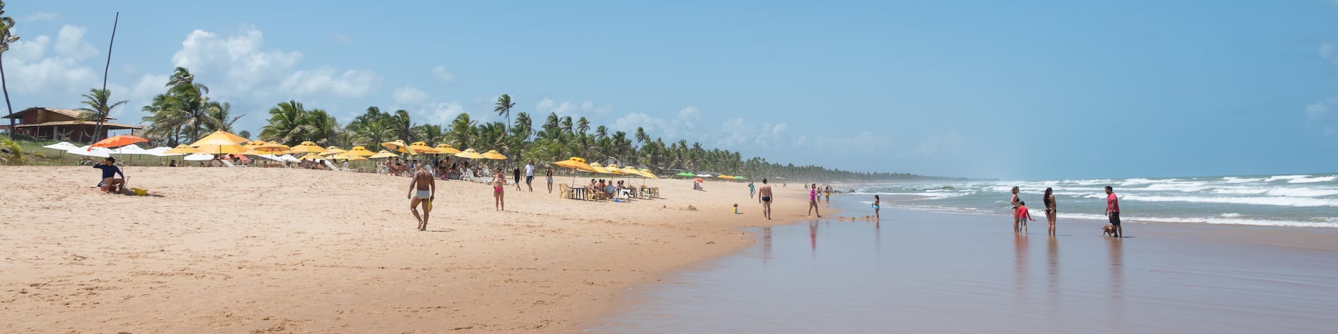 Imbassaí, Mata de São João, Bahia (estado), Brasil